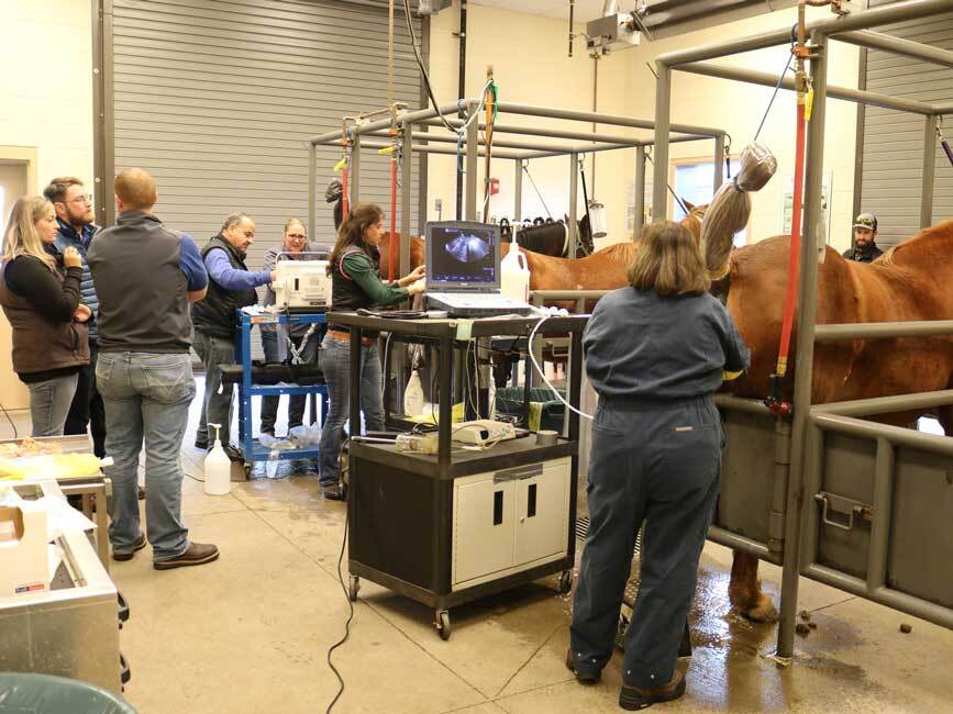 Minitube sponsors AAEP preconference wet lab | Minitube