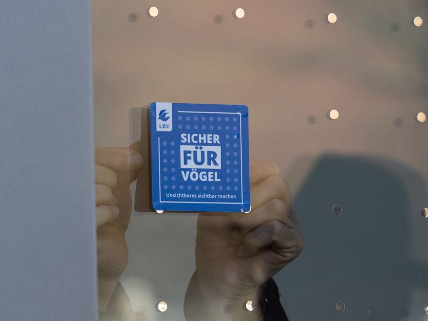 Award-winning bird protection: Minitube creates safe glass surfaces ...